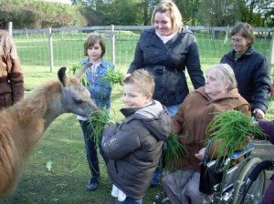 Prachtlamas » Lamatherapie